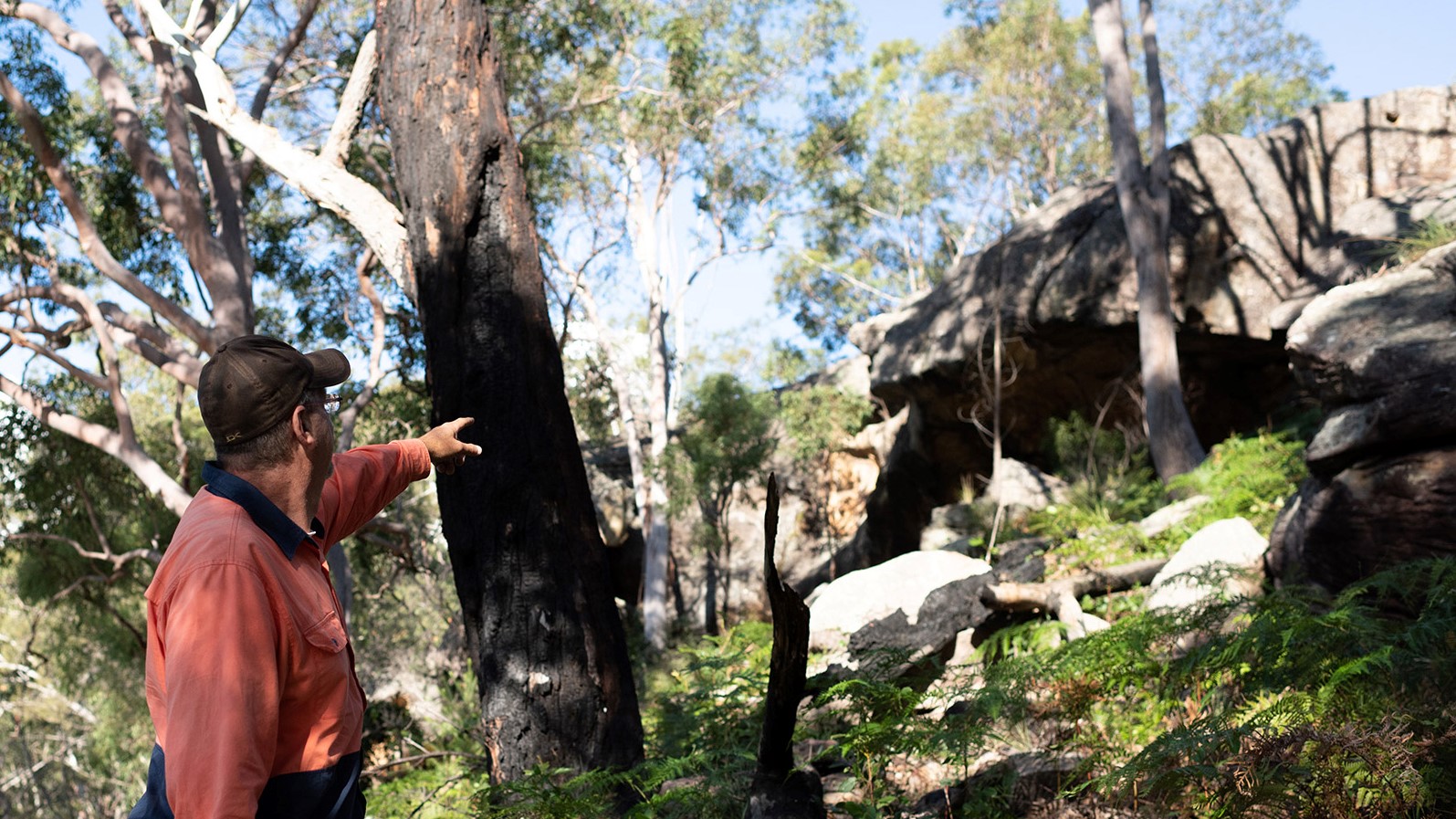 Culture, Heritage and Land Management | Gandangara